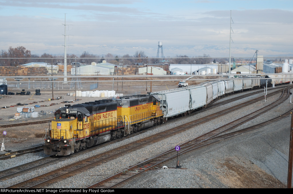 UP Local 43 work the yard